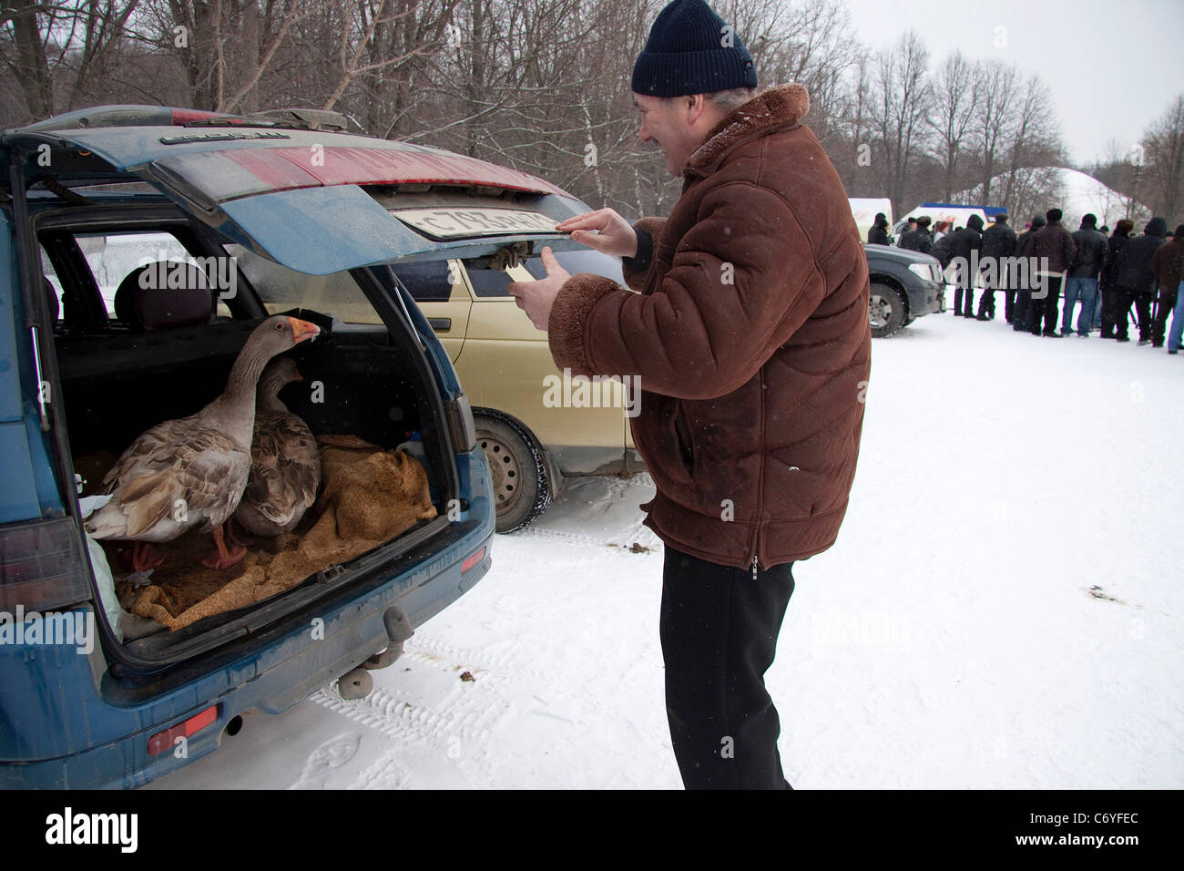 Scenes from a traditional goose fighting match in the town of Tula ...
