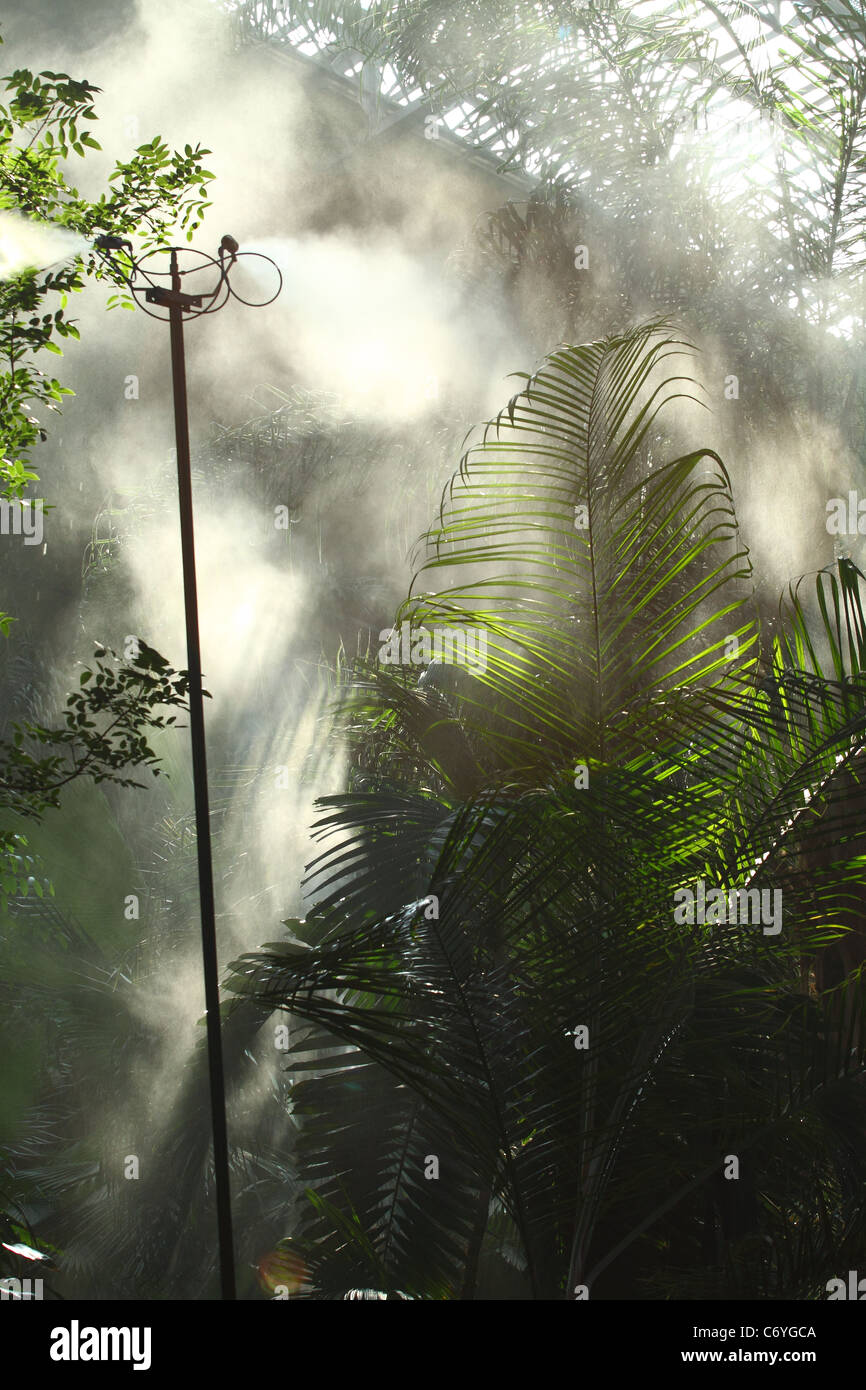 Palm tree sprinkle hi-res stock photography and images - Alamy