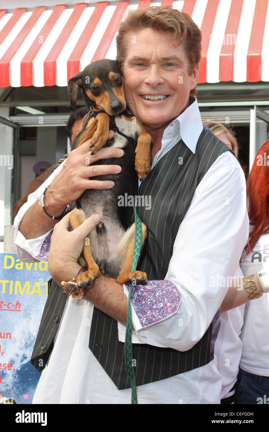 David Hasselhoff Puppies