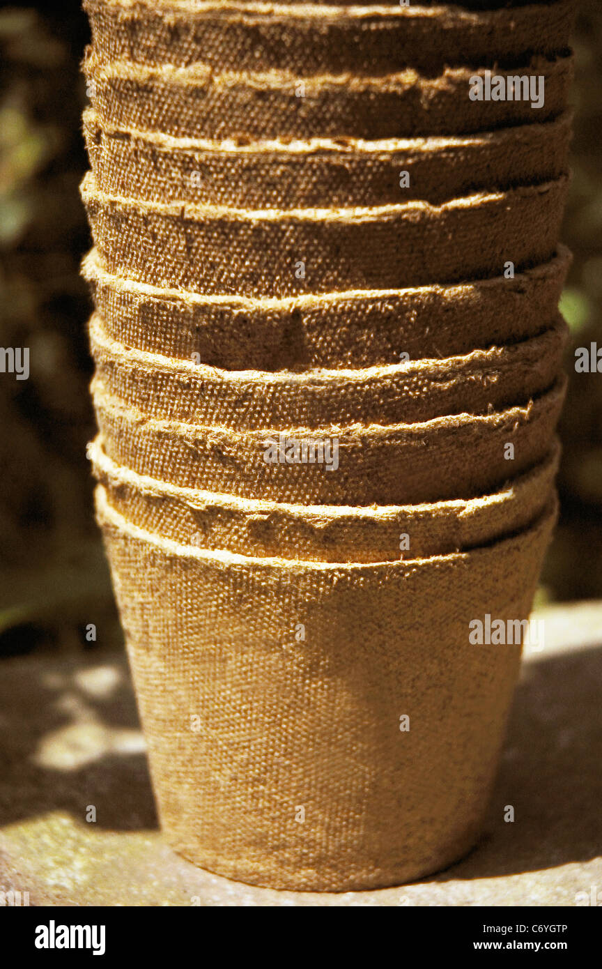 Biodegradable flowerpot hi-res stock photography and images - Alamy