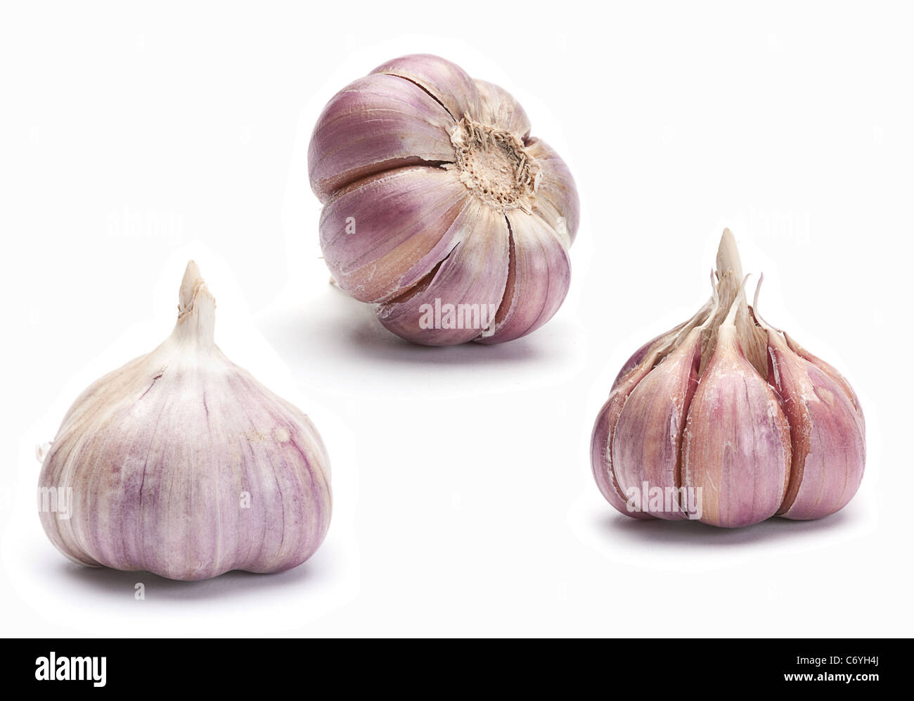 Garlic vegetable closeup isolated on white background Stock Photo - Alamy