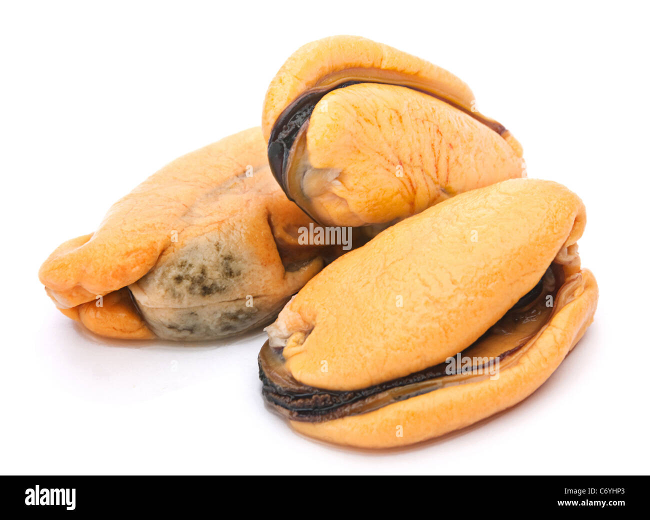 Boiled yellow mussel seafood isolated on white background Stock Photo ...