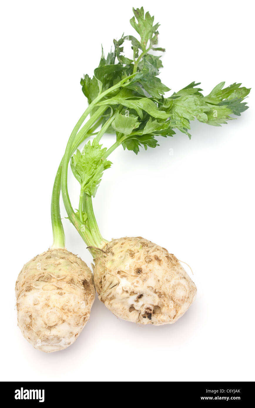 Fresh celery with root leaf on white background Stock Photo - Alamy