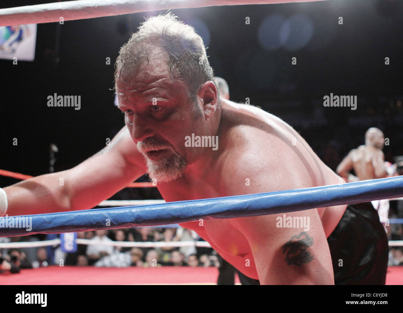 Francois Botha on the mat from the first knockdown. Botha got up, but ...