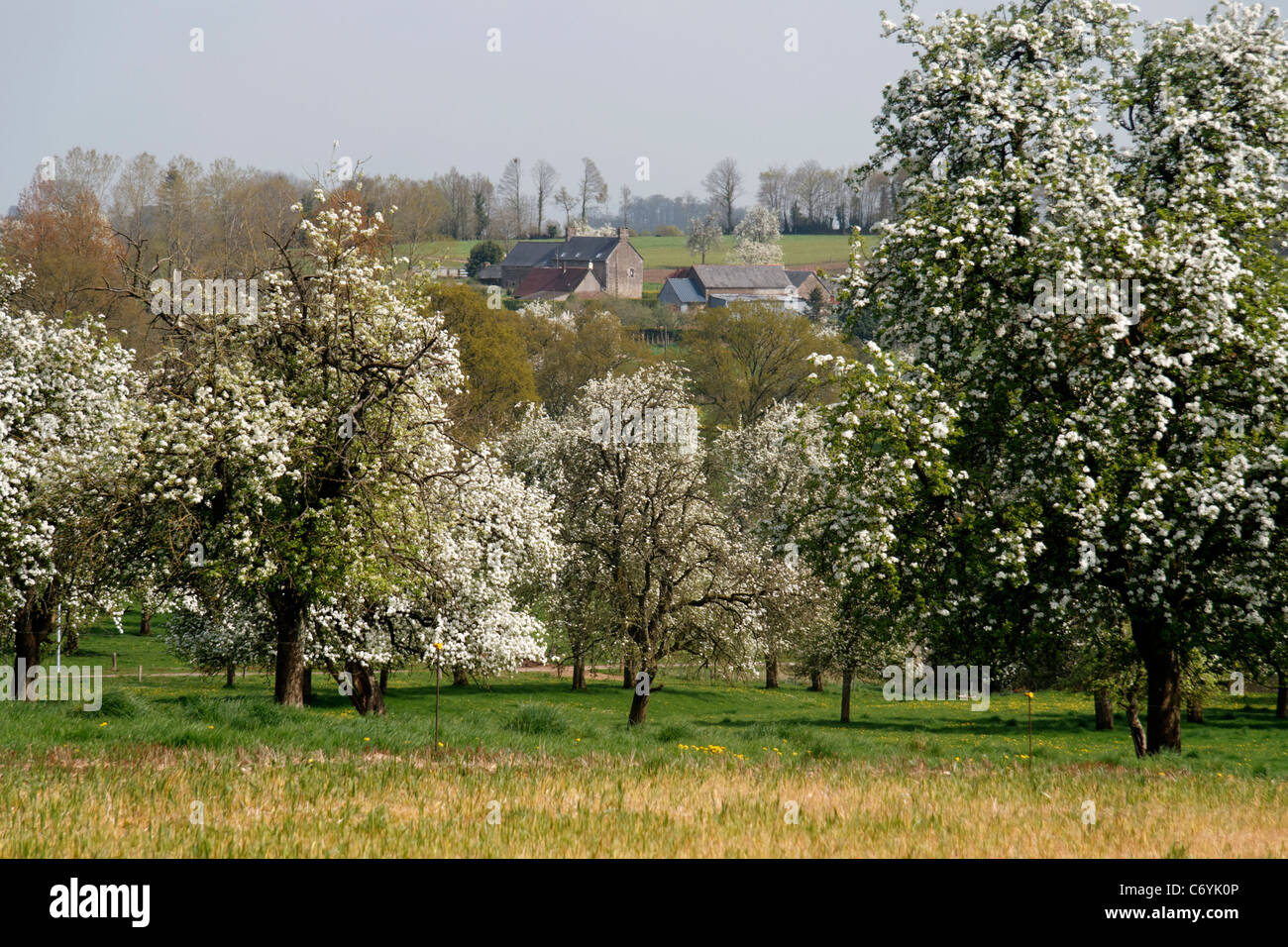 Orne normandy cider hi-res stock photography and images - Alamy