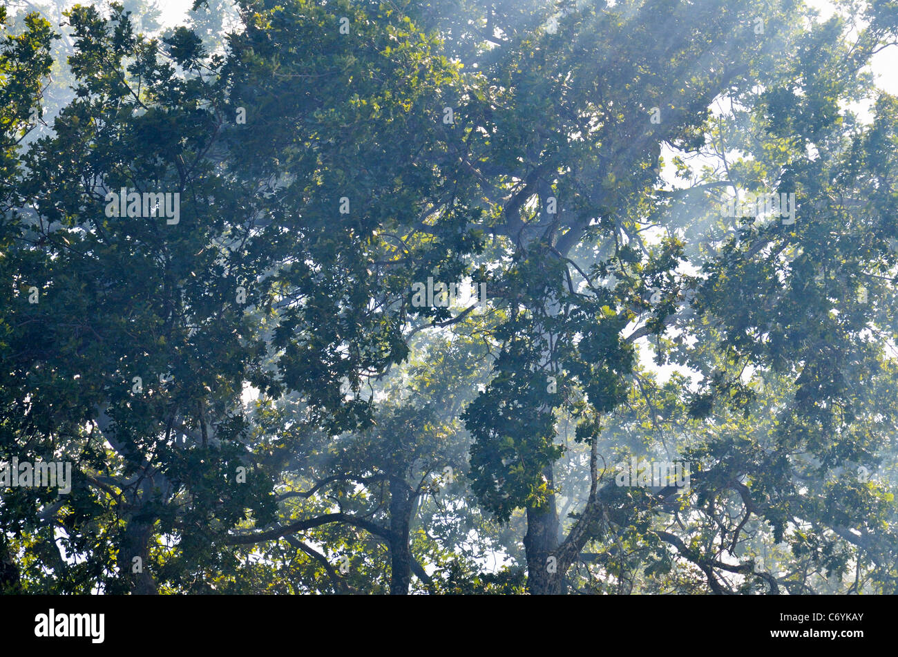 France haze hi-res stock photography and images - Alamy