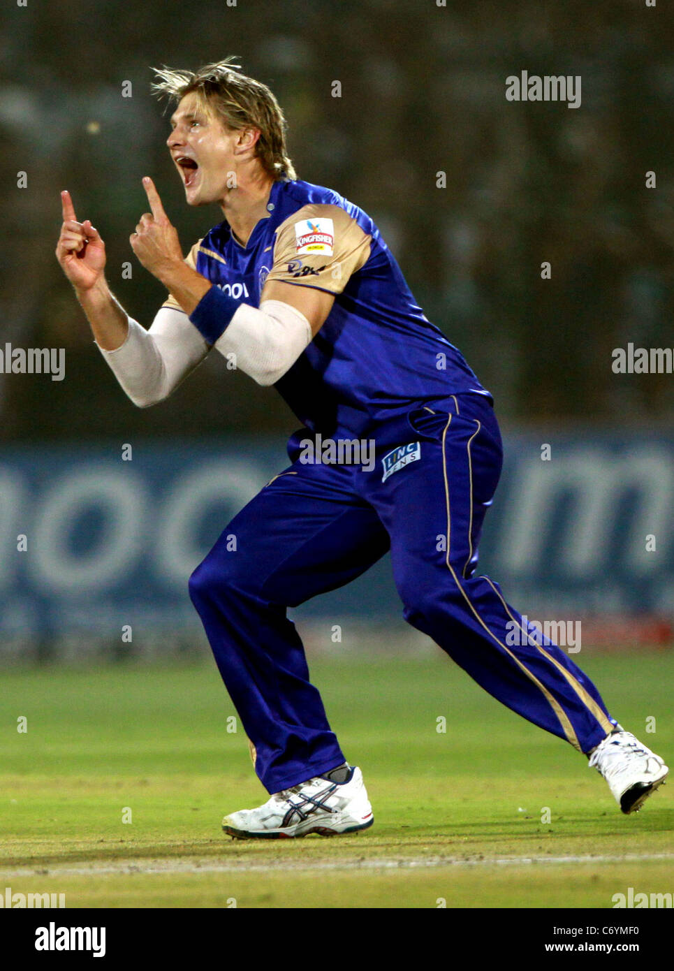 Shane Watson Cricket
