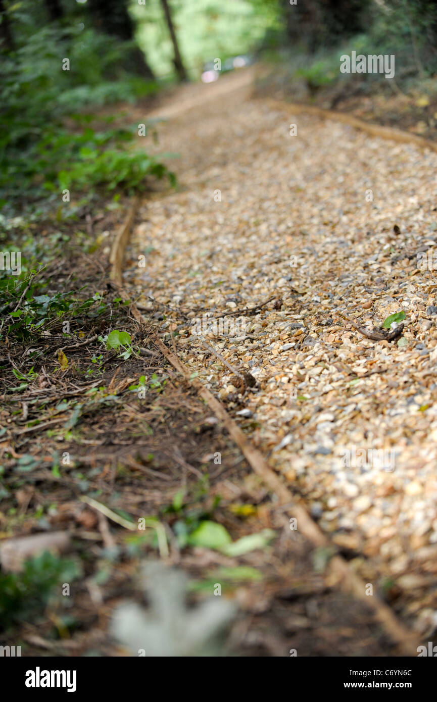 Woodland gravel pathway curving away into the distance Stock Photo - Alamy