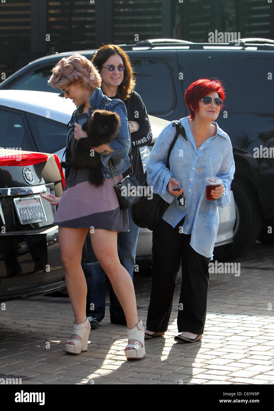 Sharon bones hi-res stock photography and images - Alamy