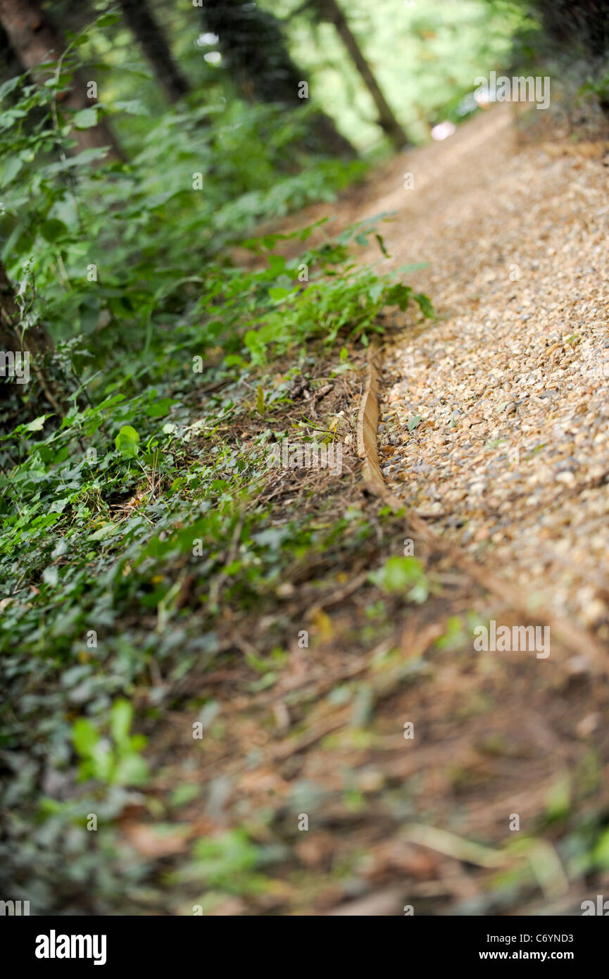 Woodland pathway curving away into the distance Stock Photo - Alamy