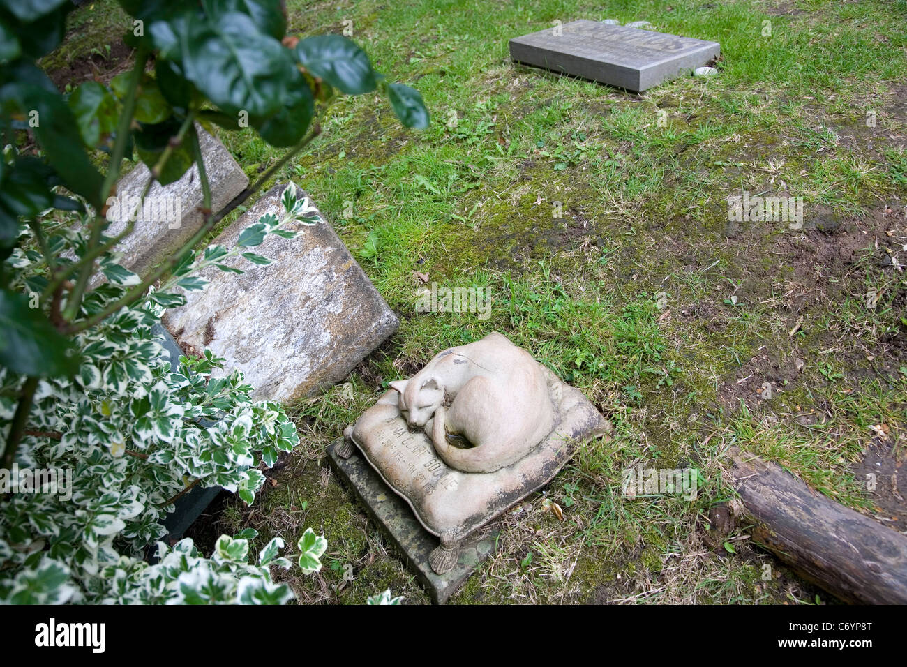 Highgate Cemetery - Cat Headstone Stock Photo - Alamy