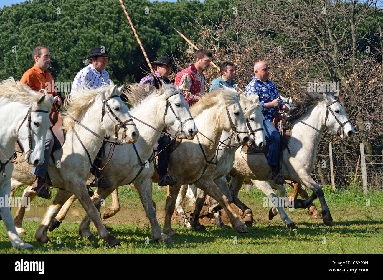 Gardians or Camargue cowboys riding horse and holding the traditional ...