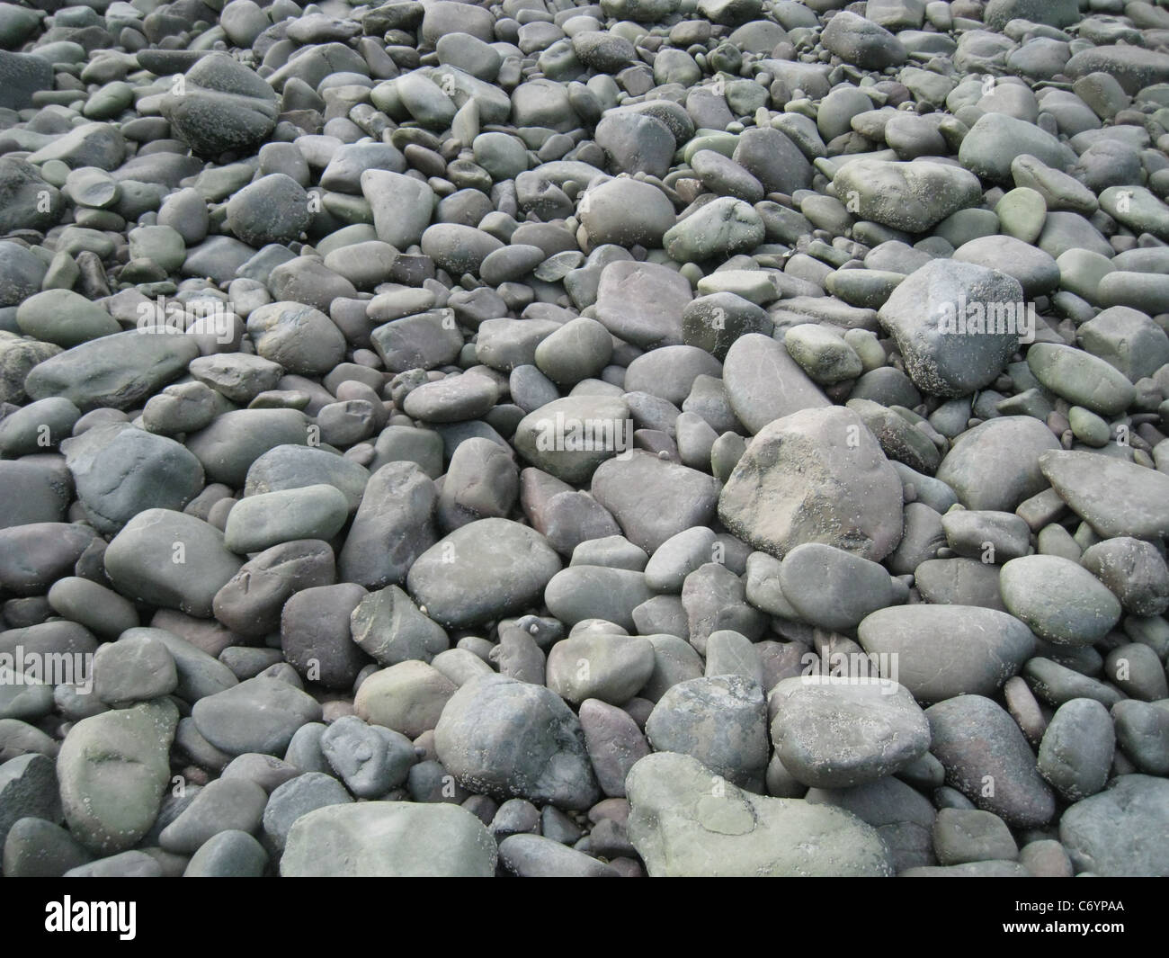 GRANITE ROCK pebbles on a Devon beach. Photo Tony Gale Stock Photo - Alamy