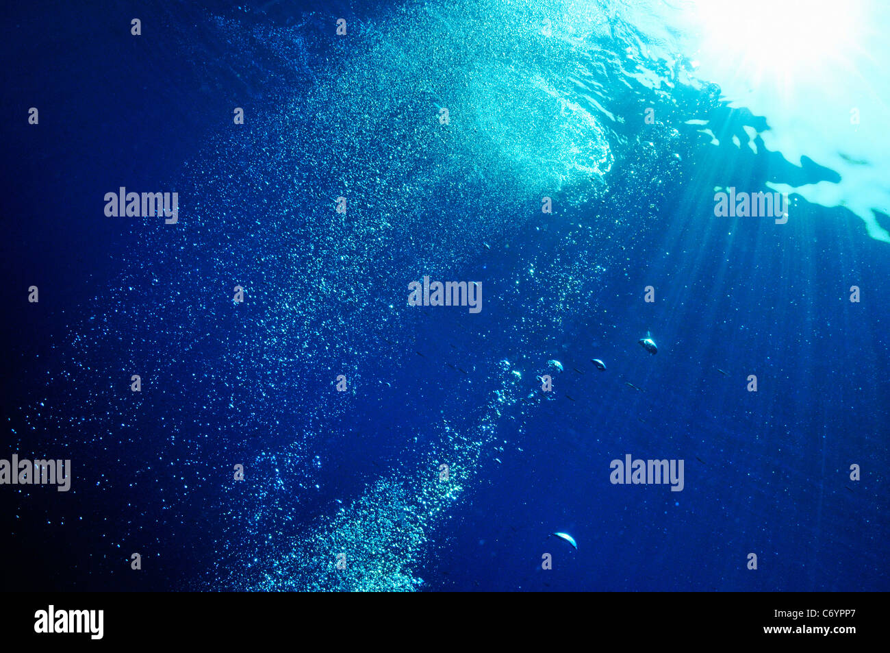 Scuba Diver's bubbles rising-up to surface, Underwater view ...