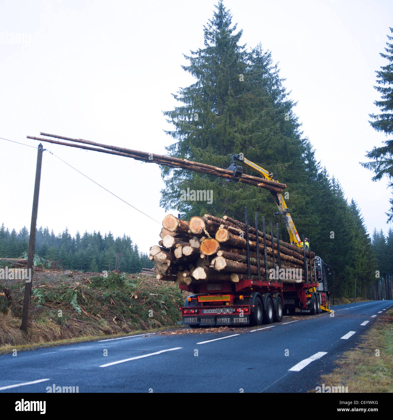 Forester using hydraulic crane to load tree trunks onto logging truck ...