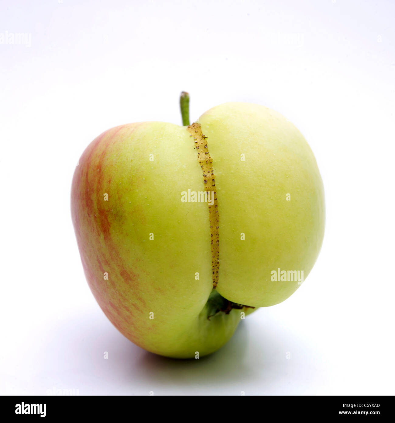 Ugly apple on white background Stock Photo - Alamy