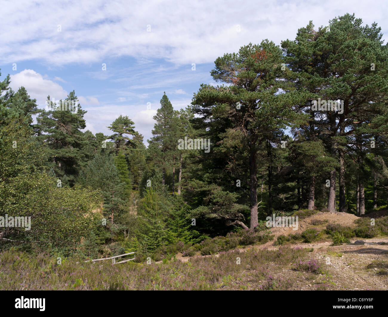 dh FYRISH HILL ROSS CROMARTY Jubilee path Fyrish hill Scottish ...