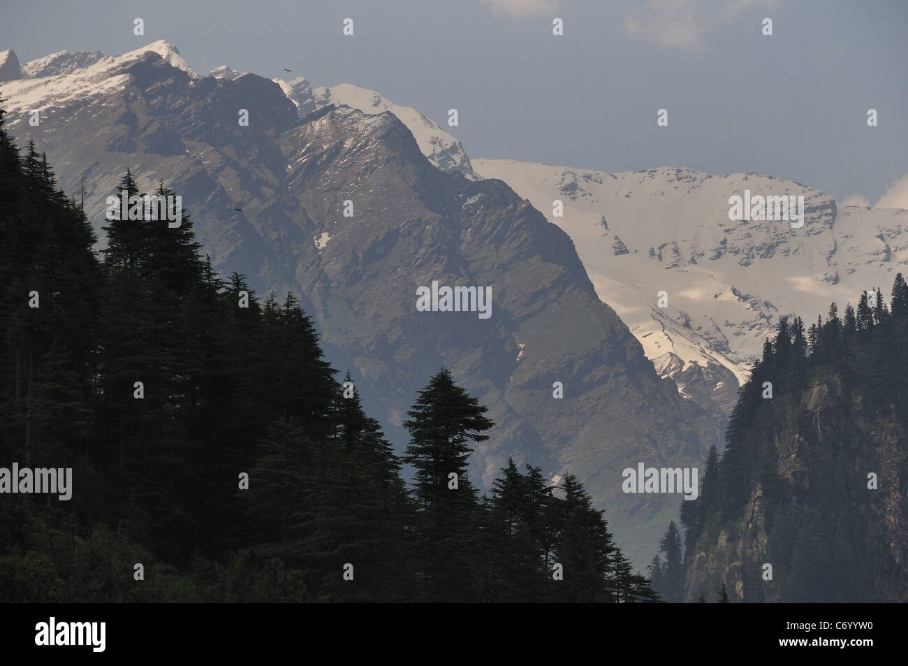 View of the nature in Manali Stock Photo - Alamy