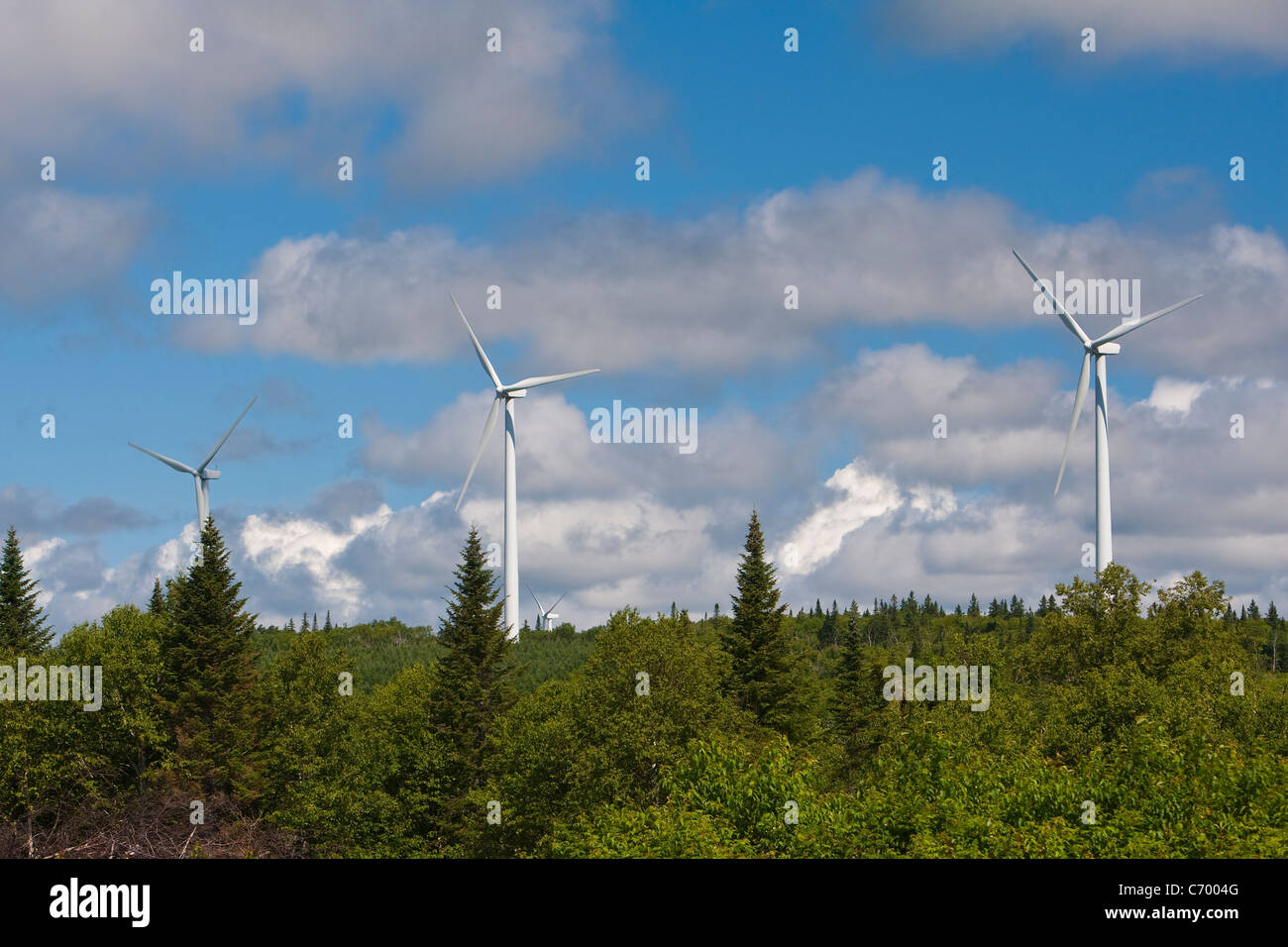 Wind turbines are pictured on the Carleton Wind Farm in Carleton-sur ...