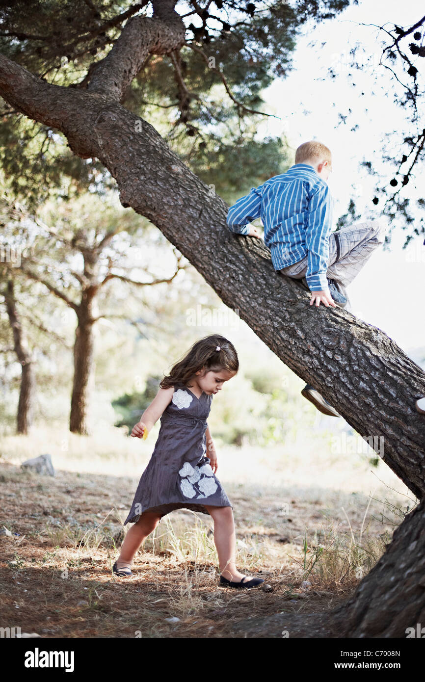 Children climbing trees outdoors Stock Photo - Alamy