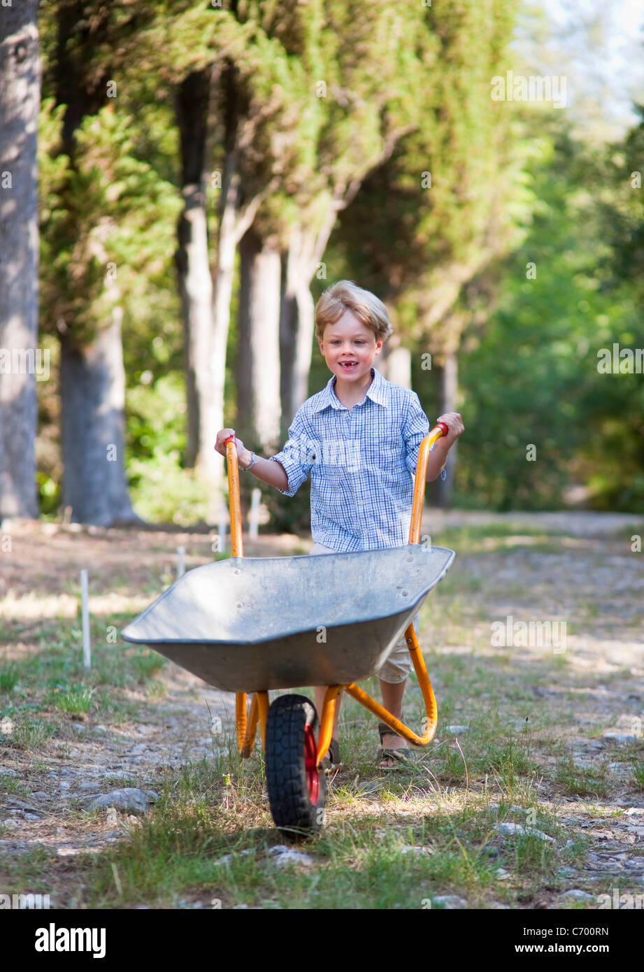 Boy pushing wheelbarrow outdoors Stock Photo - Alamy