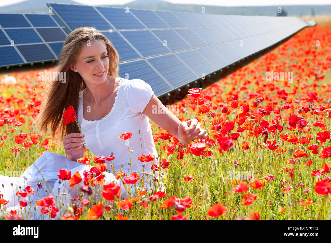 Lady picking flowers hi-res stock photography and images - Alamy