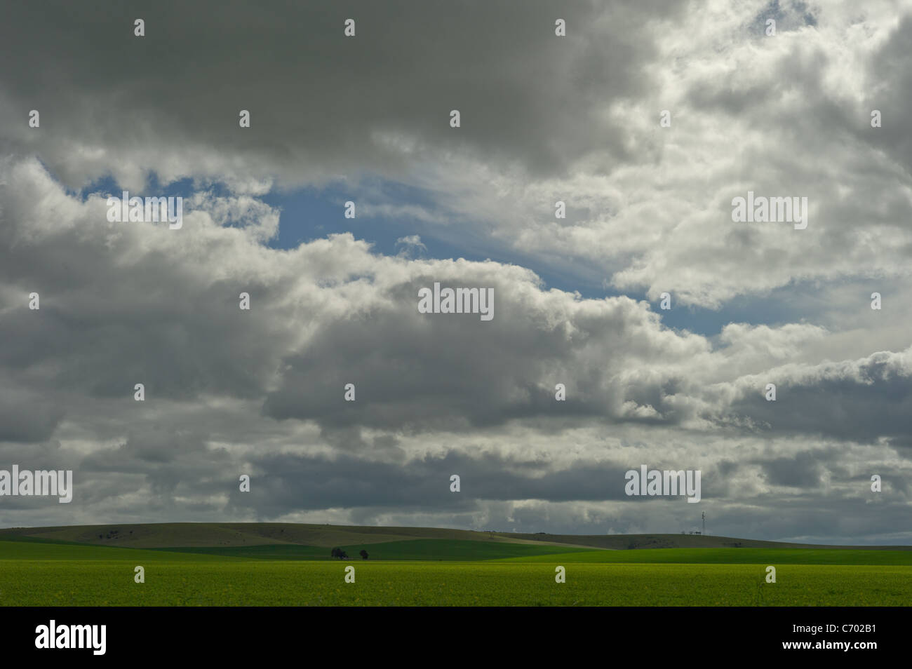 Large Skies with Dramatic clouds and Green Fields Stock Photo - Alamy