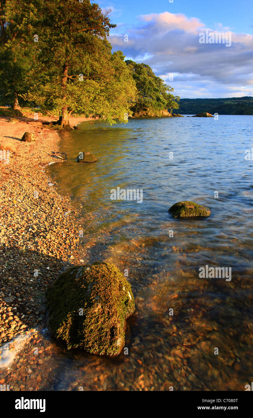 A summer's evening on the shore of Windermere, England's largest lake ...