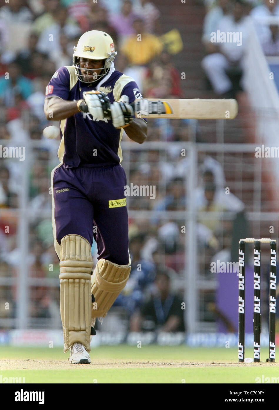 Chris gayle indian premier league hi-res stock photography and images ...