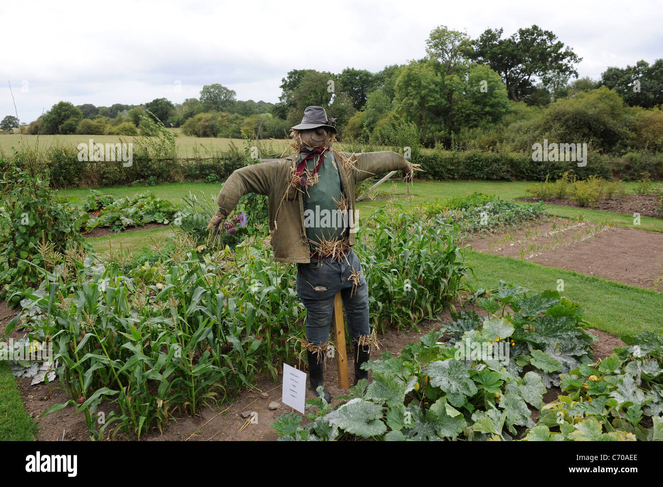 Garden scarecrow England Uk Stock Photo - Alamy