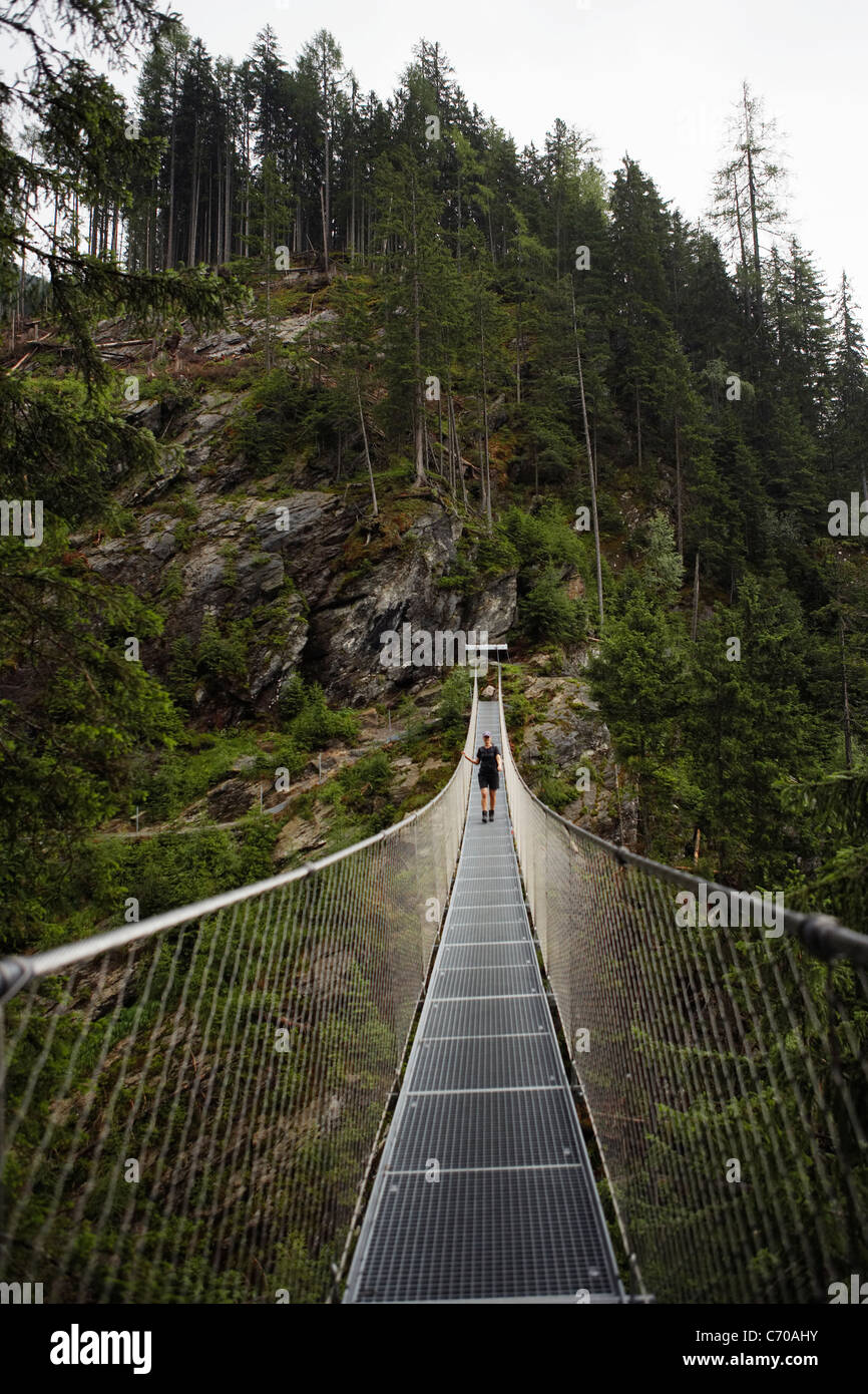 Rope bridge over forest Stock Photo - Alamy