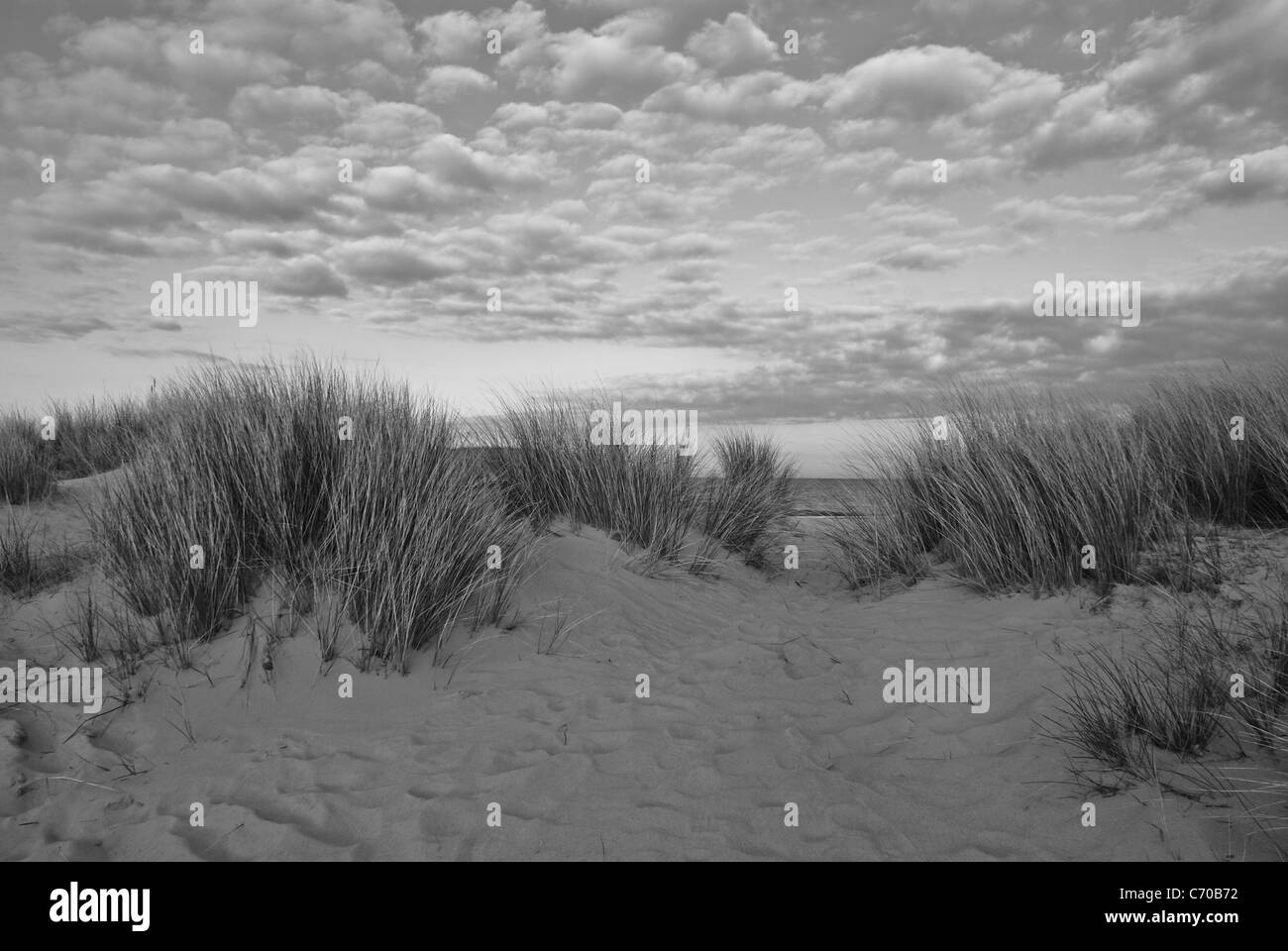 Dorset Sand Dunes and Beach Stock Photo - Alamy