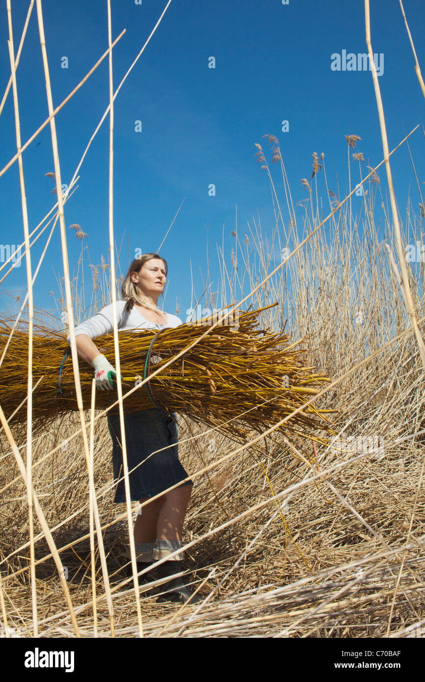 Hay in field hi-res stock photography and images - Alamy