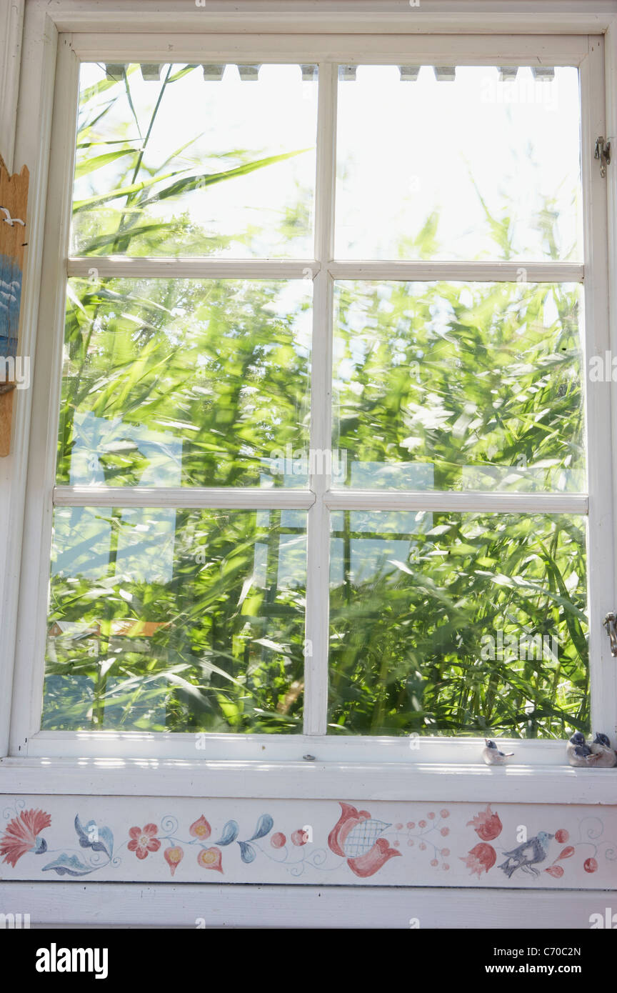 Plants growing outside window Stock Photo - Alamy