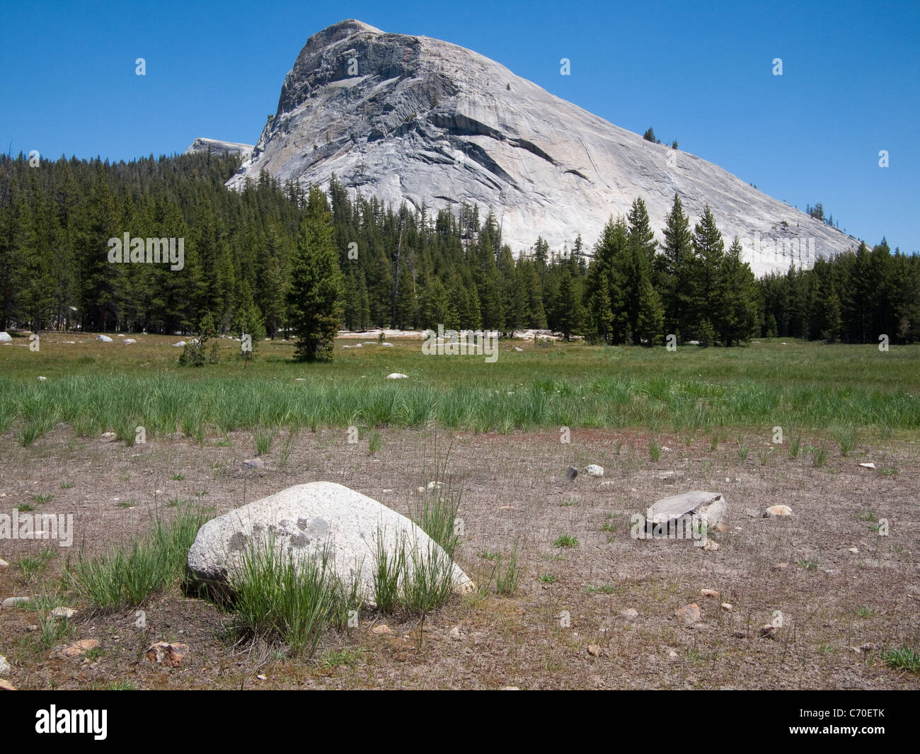 Lembert Dome, Tuolomne Meadows, Yosemite National Park Stock Photo - Alamy