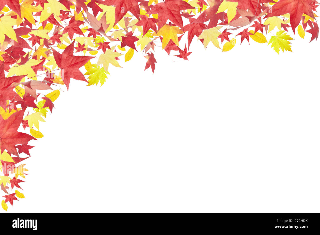 Falling autumn leaves frame Stock Photo - Alamy