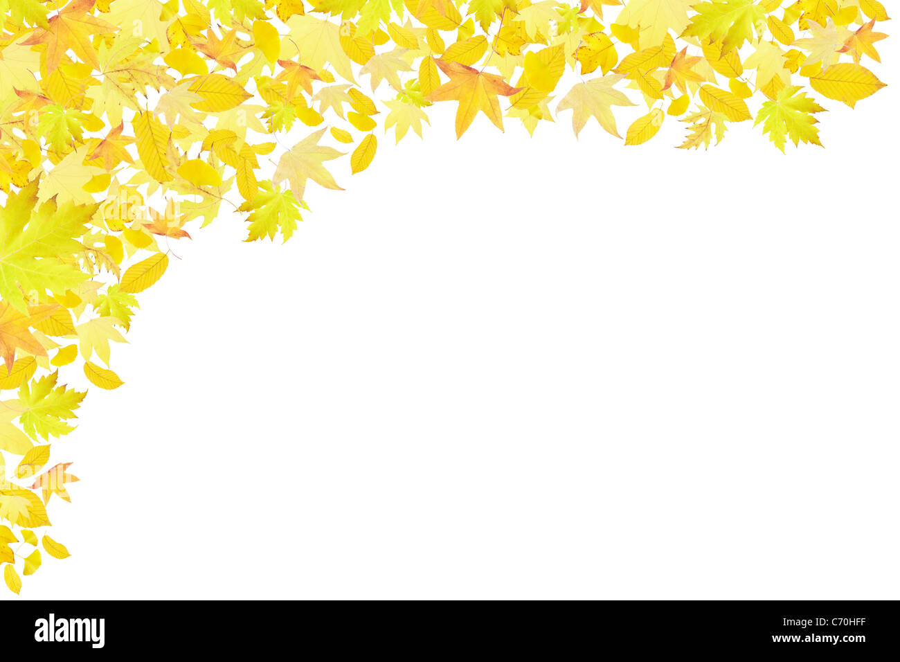Falling yellow autumn leaves border Stock Photo - Alamy