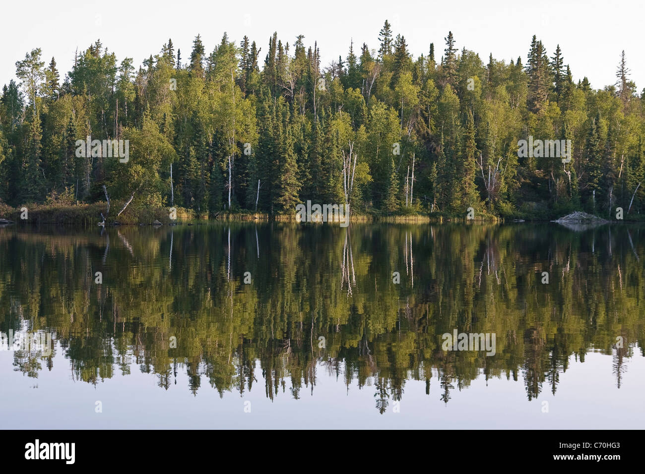 MaKay Lake in Northern Saskatchewan, Canada Stock Photo - Alamy