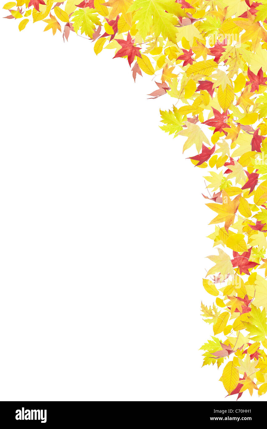 Falling autumn leaves frame isolated on white Stock Photo - Alamy