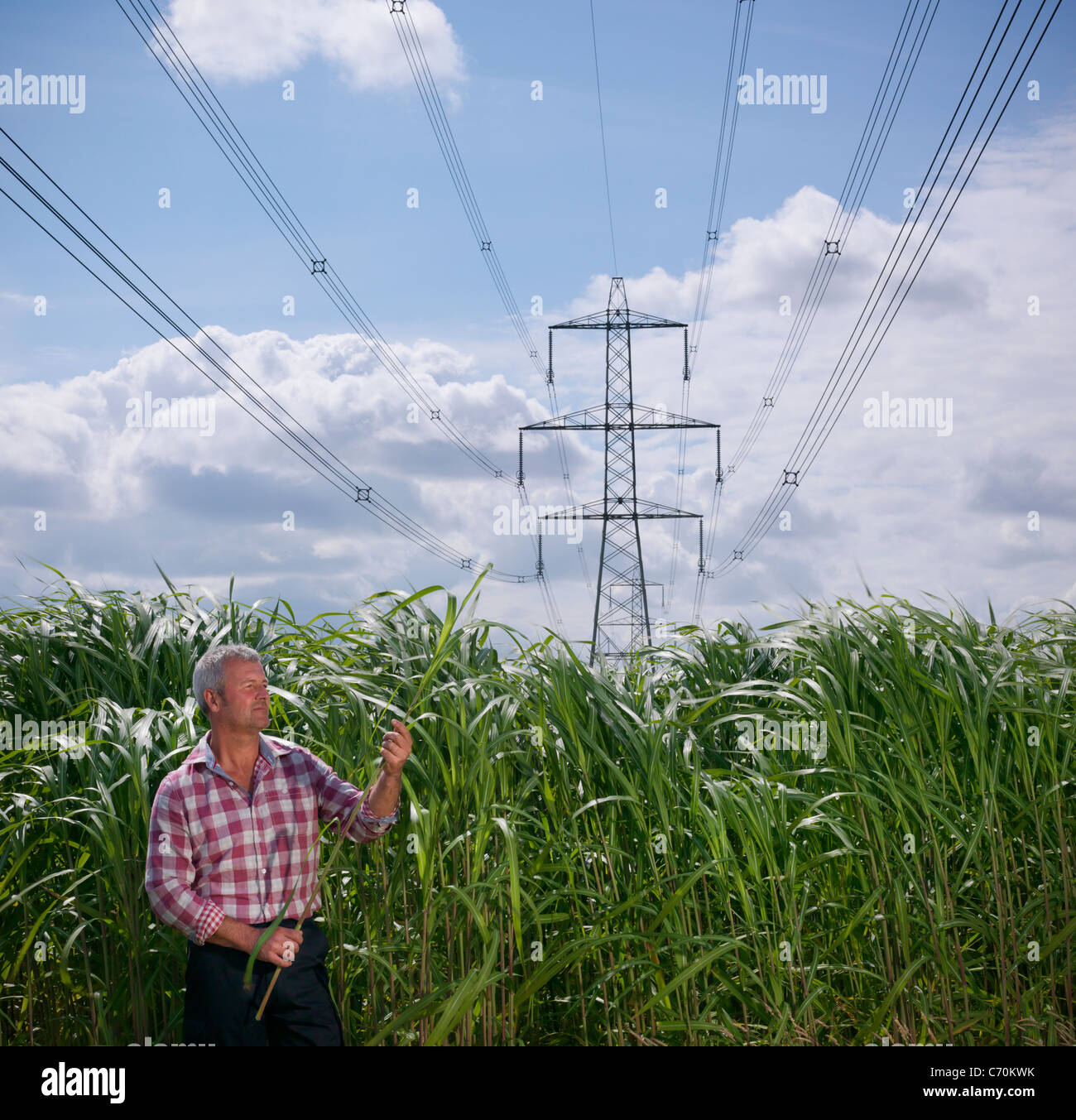 Fuel issues hi-res stock photography and images - Alamy