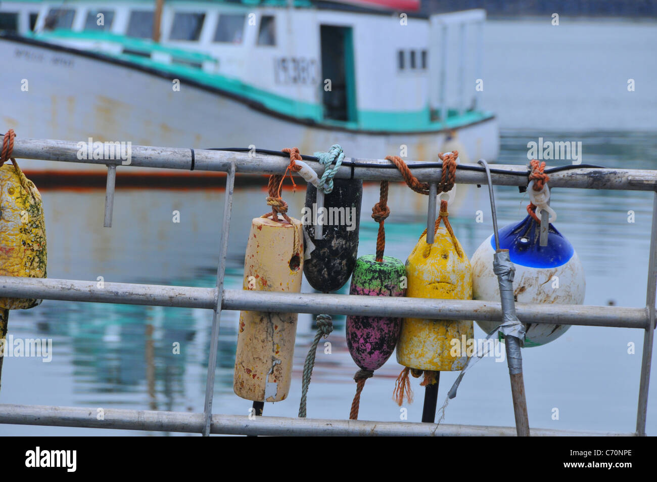 Scallop fishing boats docked at Digby, Nova Scotia, Canada Stock Photo ...