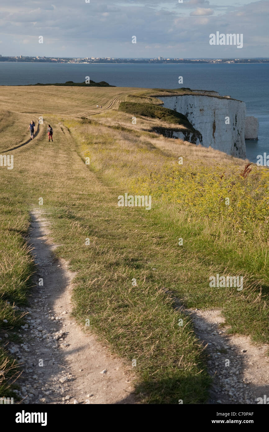 Old harry's rocks dorset hi-res stock photography and images - Alamy