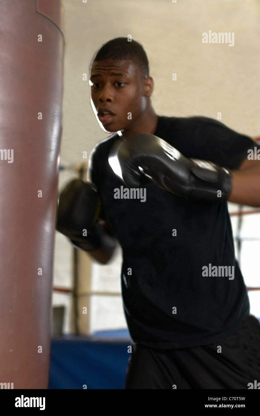 Boxer using punching bag in gym Stock Photo - Alamy