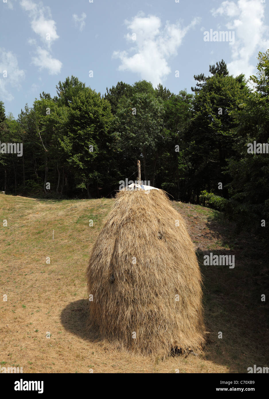 Traditional hay stack hi-res stock photography and images - Alamy