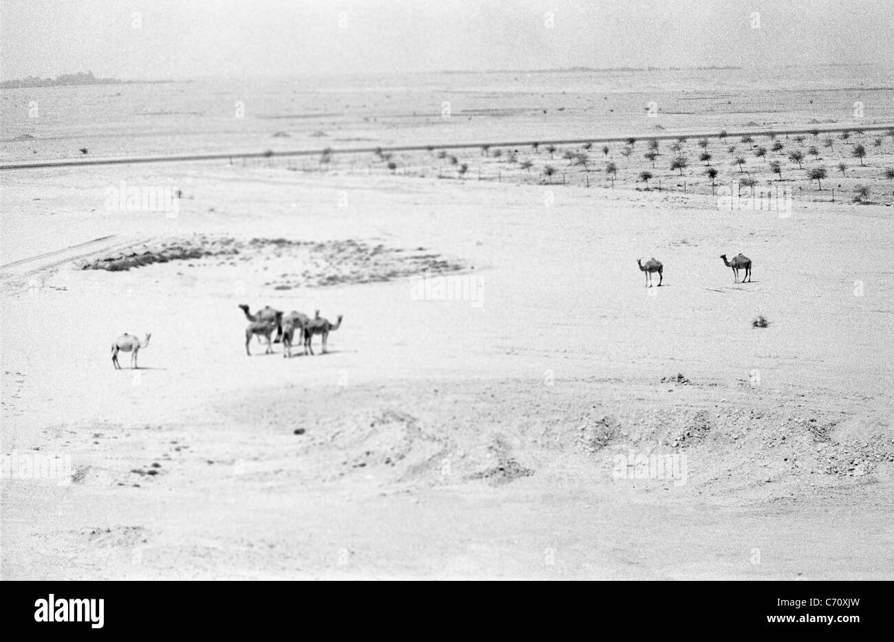 Uae 1970s hi-res stock photography and images - Alamy