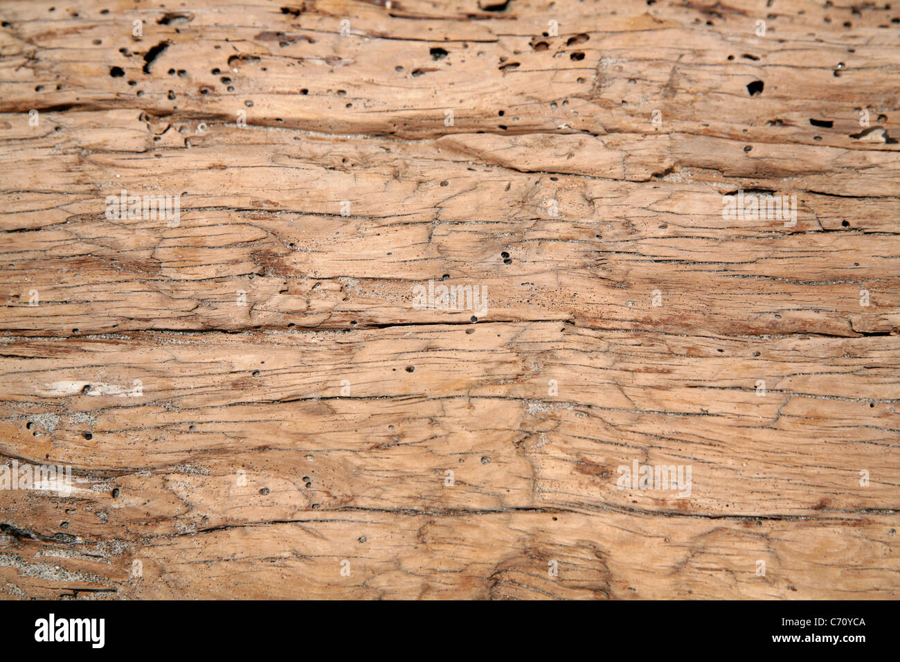 Textured surface to be used as a background for designs and other uses ...