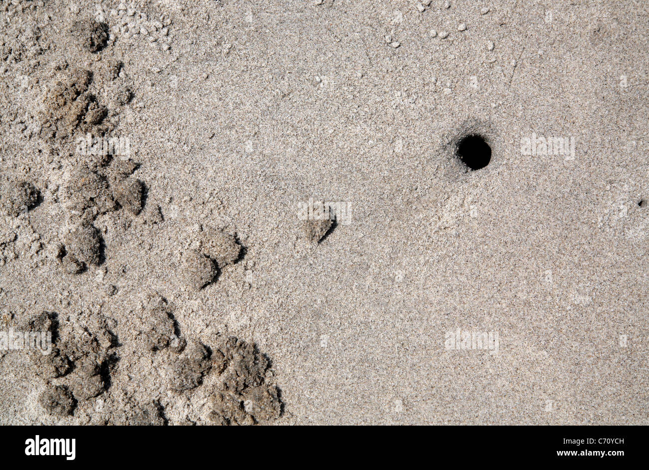 Beach, sand and other things Stock Photo - Alamy