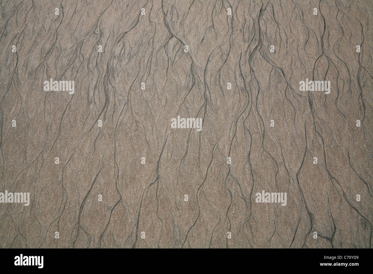 Black iron sand beach hi-res stock photography and images - Alamy
