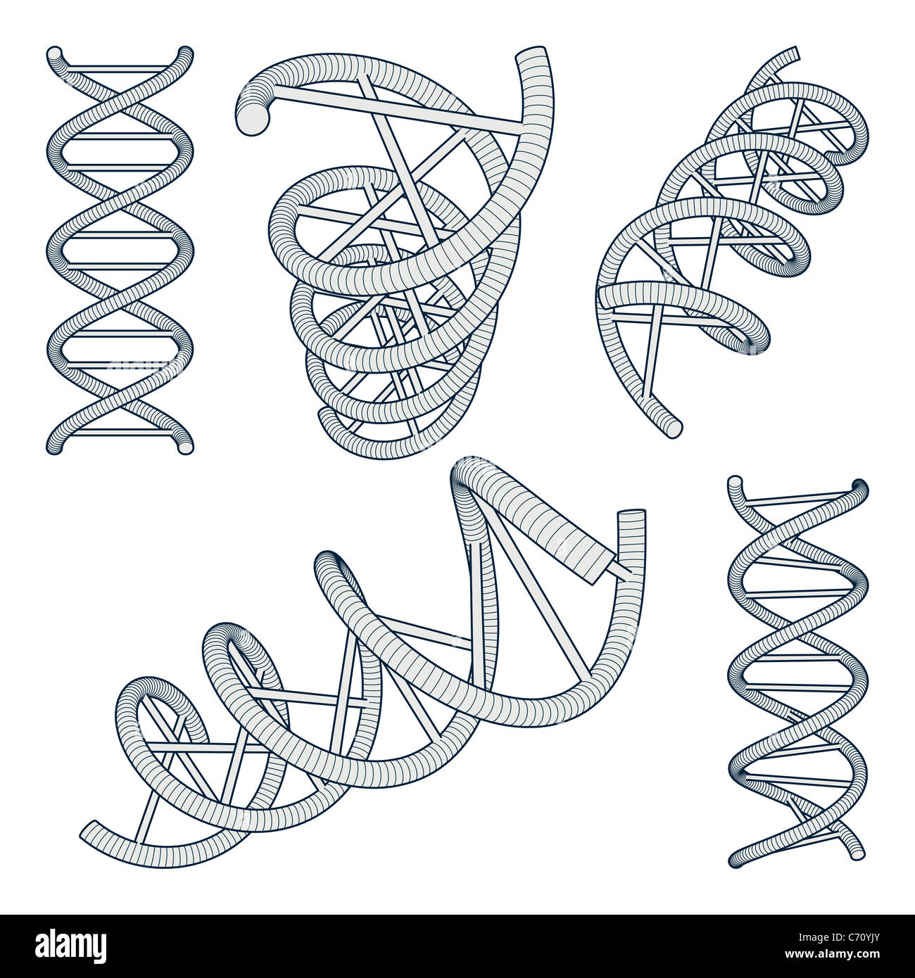 Dna Helix Drawing