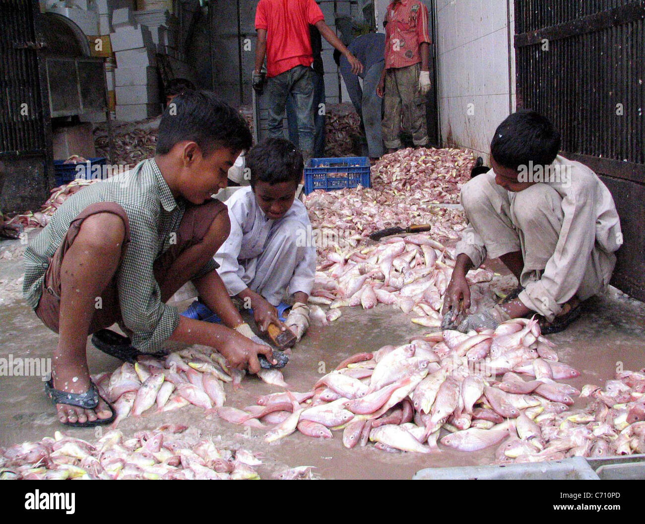 Children clean fishes hi-res stock photography and images - Alamy